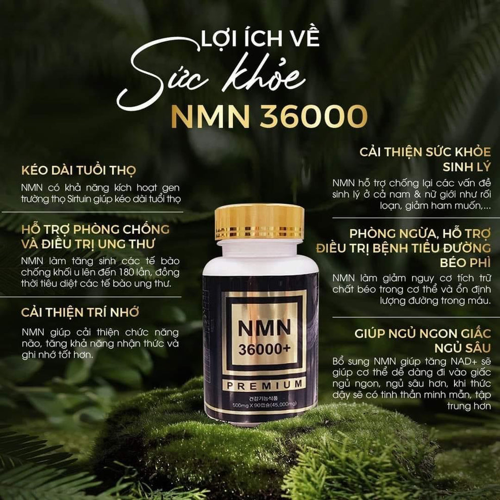 Vien uong NMN 36000 Hàn Quốc – Samsung Premium – Celine Beauty Myths